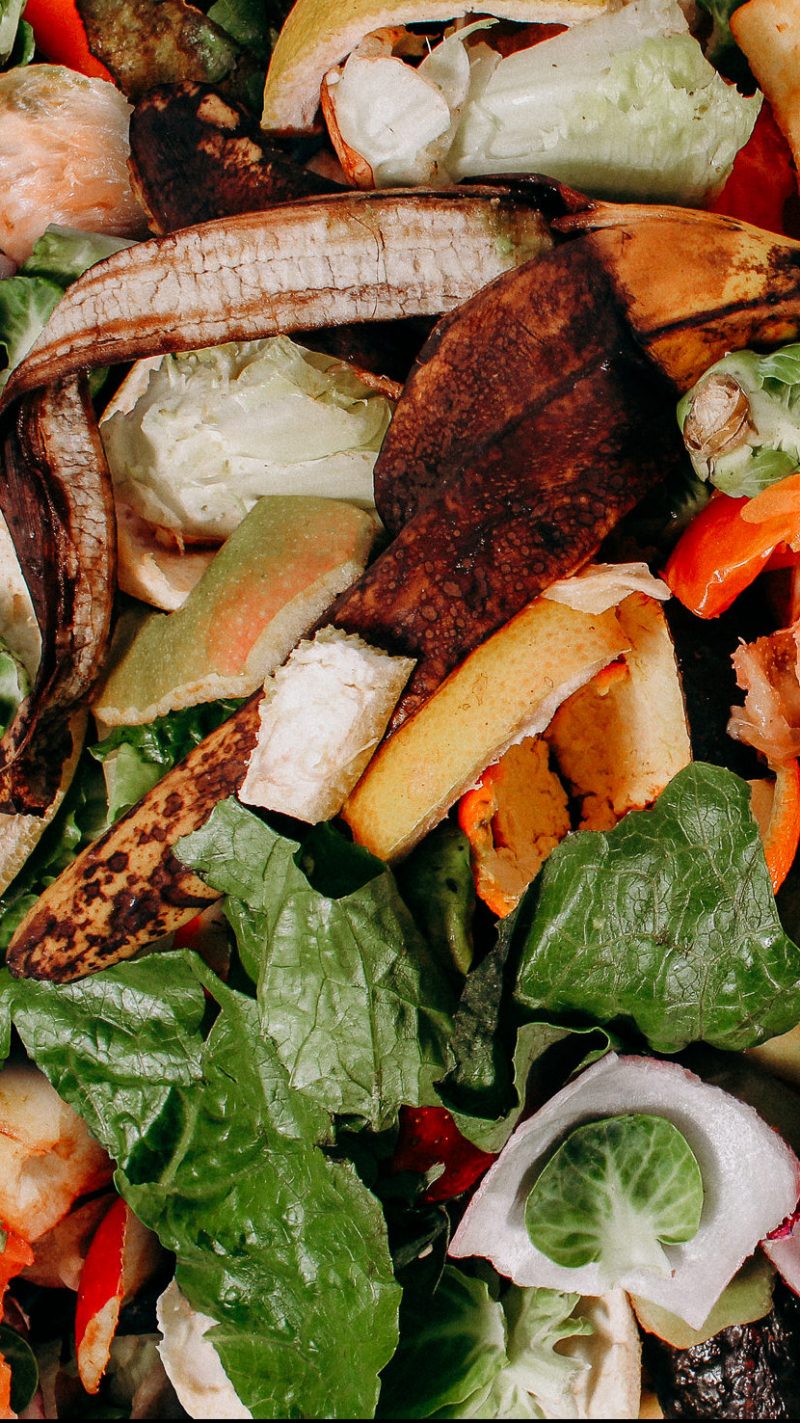 How our next-day food waste collection service saved money for national ...